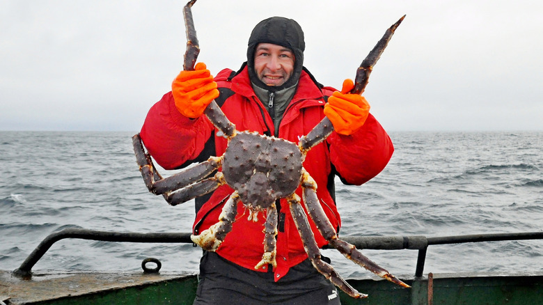What's the difference between snow crab and king crab?