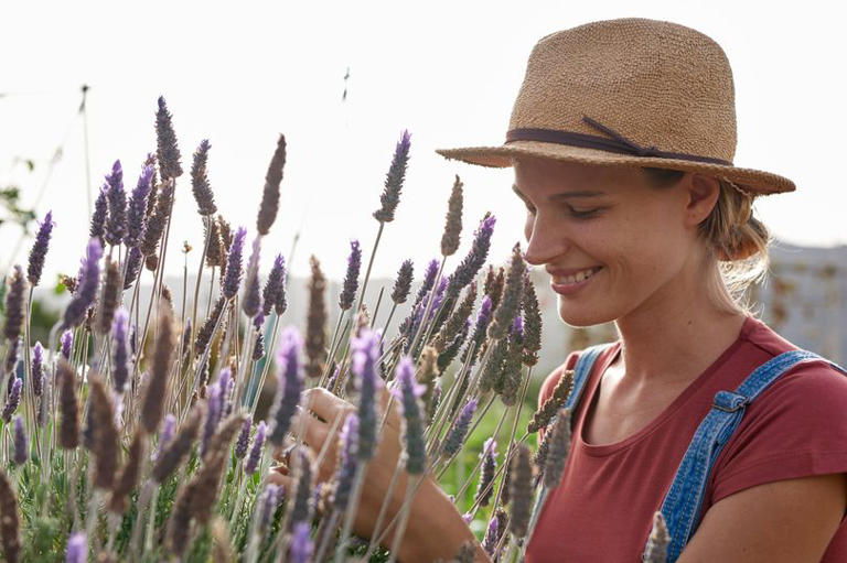 10 easy-care garden plants that keep flowering for decades