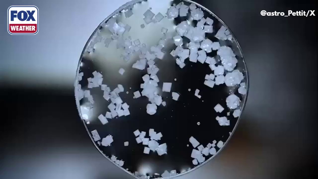 Watch: Crystals exhibit unusual growth pattern on International Space ...