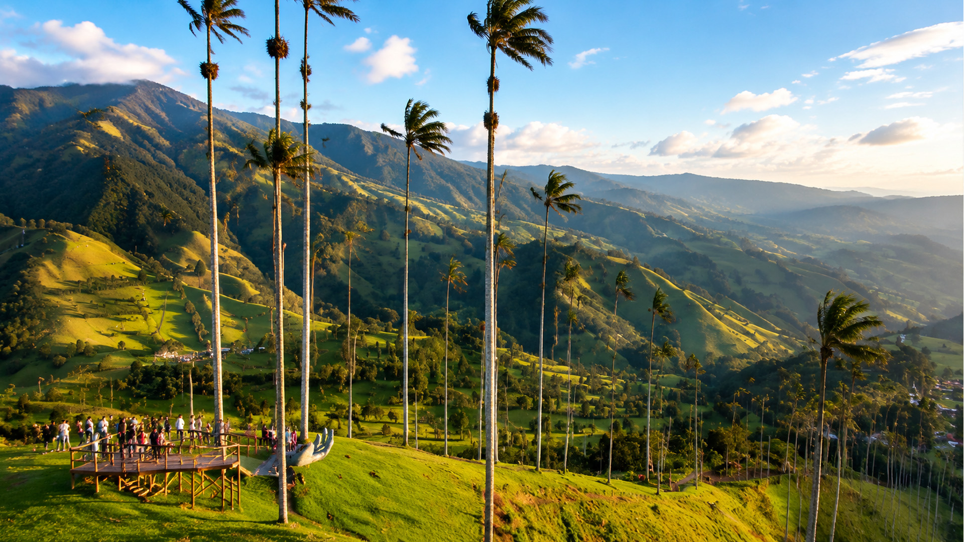Giant wax palms rising across Cocora Valley
