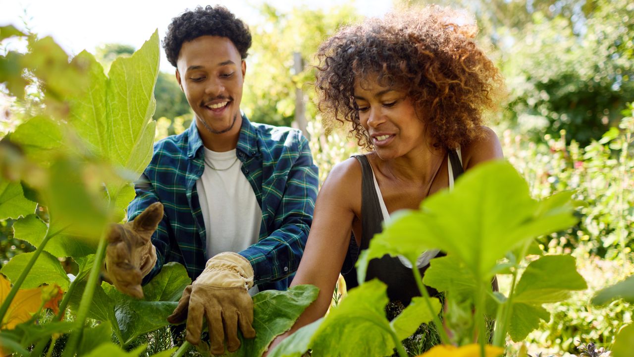 August is still prime gardening time so make sure you tackle these key jobs