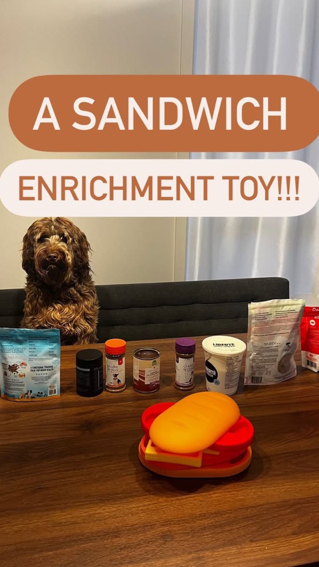 Simple enrichment toy keeps dogs engaged