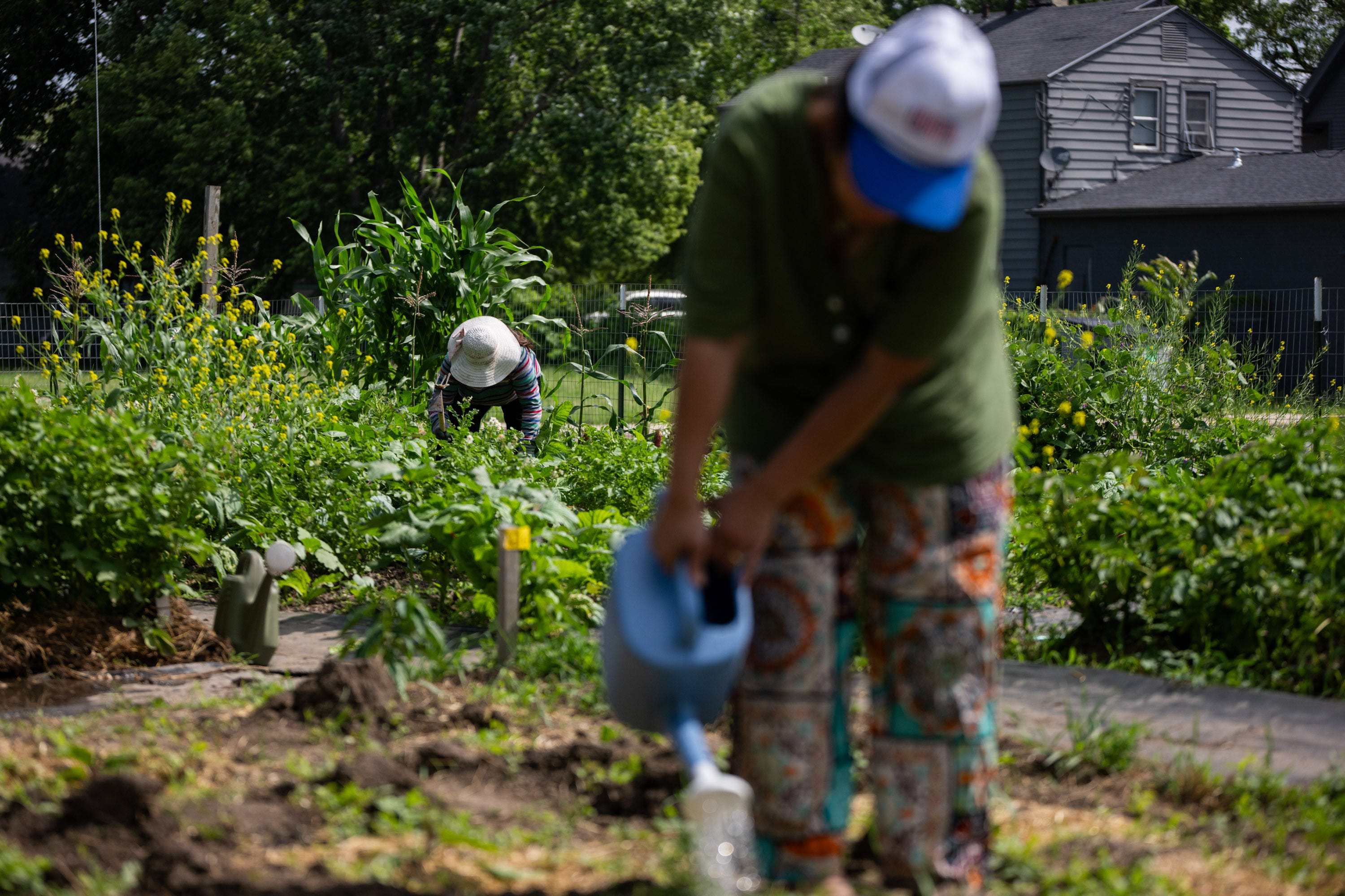 Iowa is getting drier. What do latest Drought Monitor conditions show?