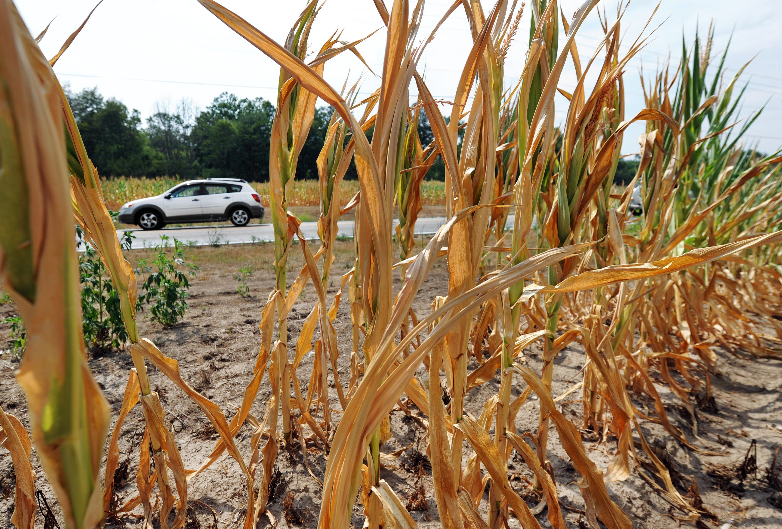 Dry conditions ease in Iowa. Drought monitor shows where it lingers