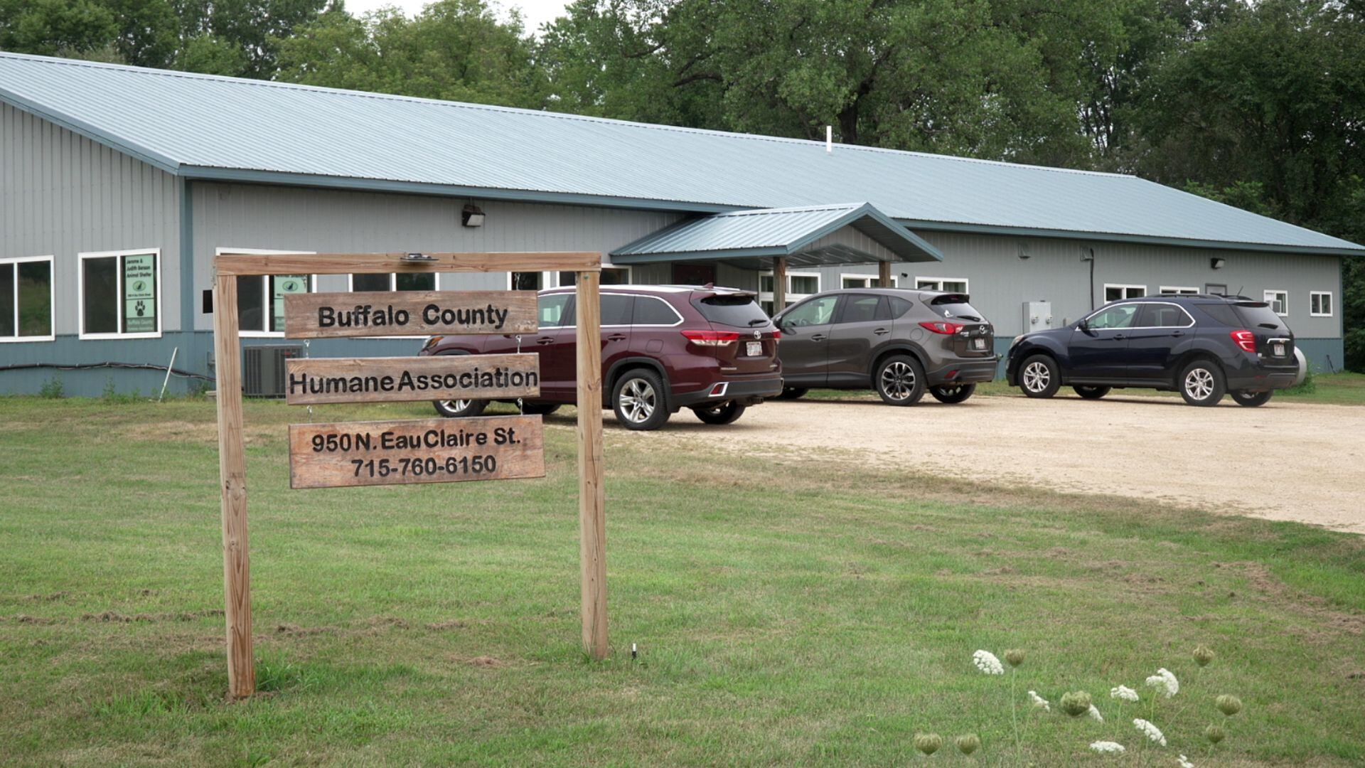 JJ’s lemonade raises $1K for Buffalo County Humane Society