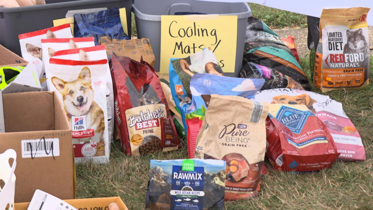 Fox Valley animal organizations help tornado victims care for pets