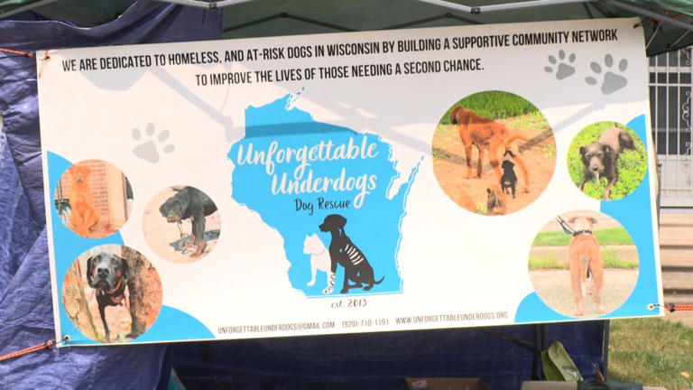 Fox Valley animal organizations help tornado victims care for pets