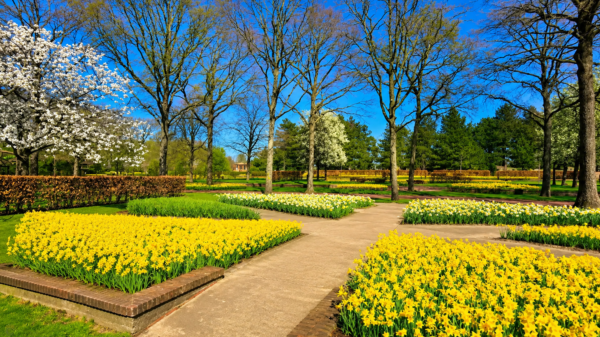 Inside Keukenhof Holland’s famous Garden of Europe (4K)