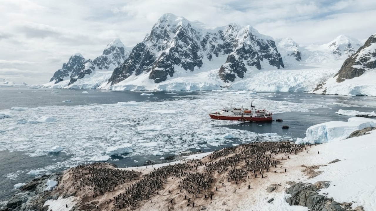 Unseen challenge: Antarctic guides depart due to tourism pressures