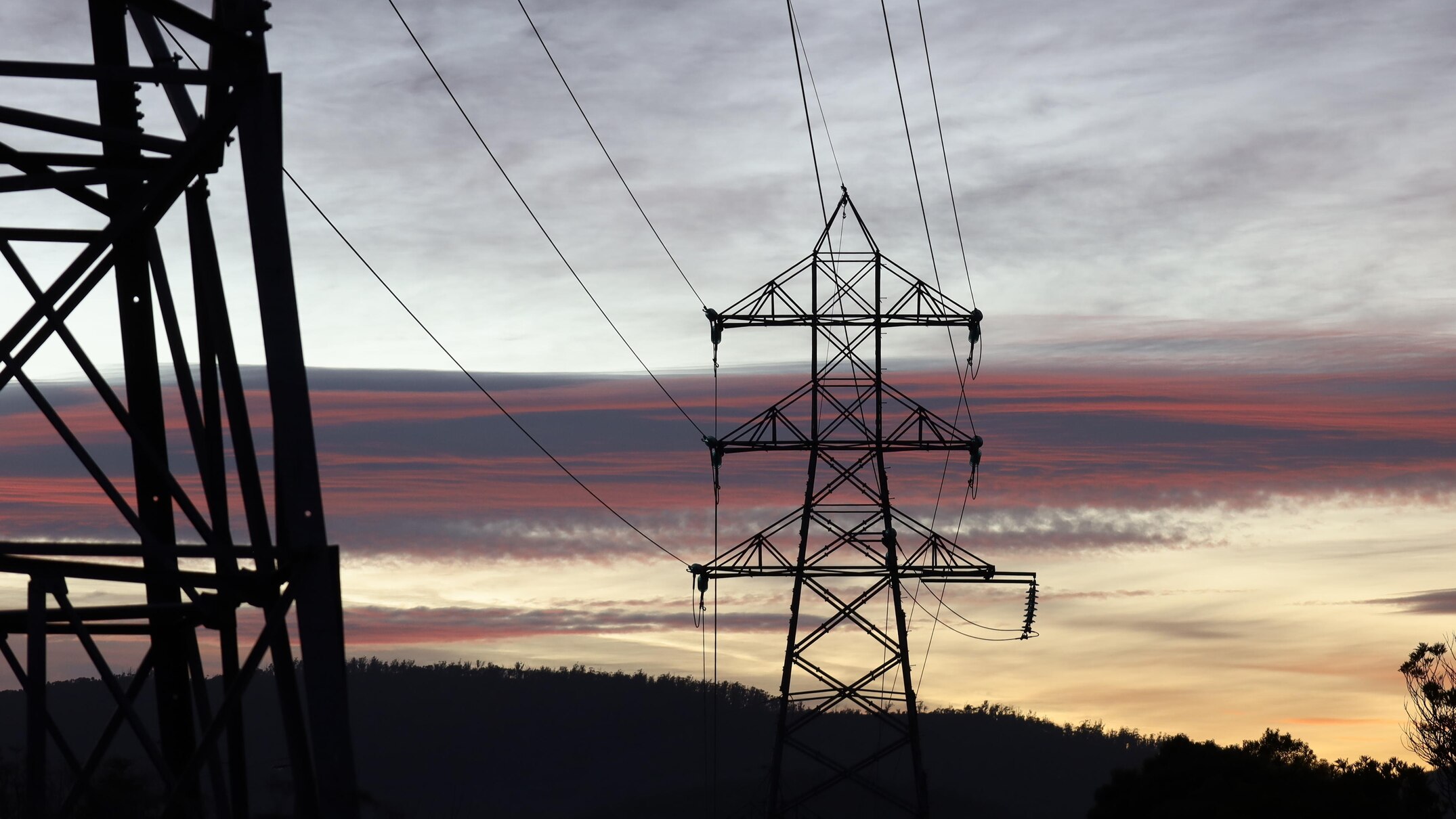 Investors, experts call for action to remove bottlenecks slowing the ...