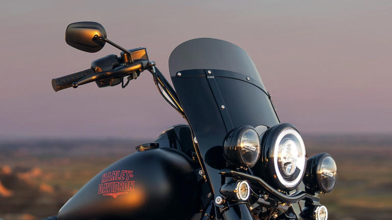The cheapest Harley-Davidson that still feels properly American