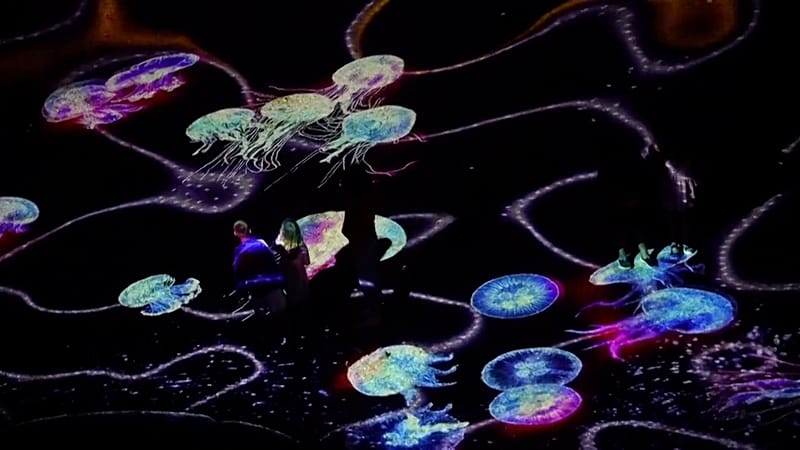 Bulgaria lights up its Black Sea coast with digital art festival