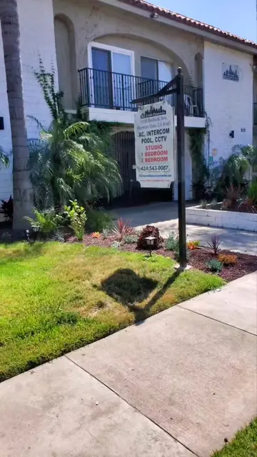 Removing a massive hidden bee hive from an apartment wall