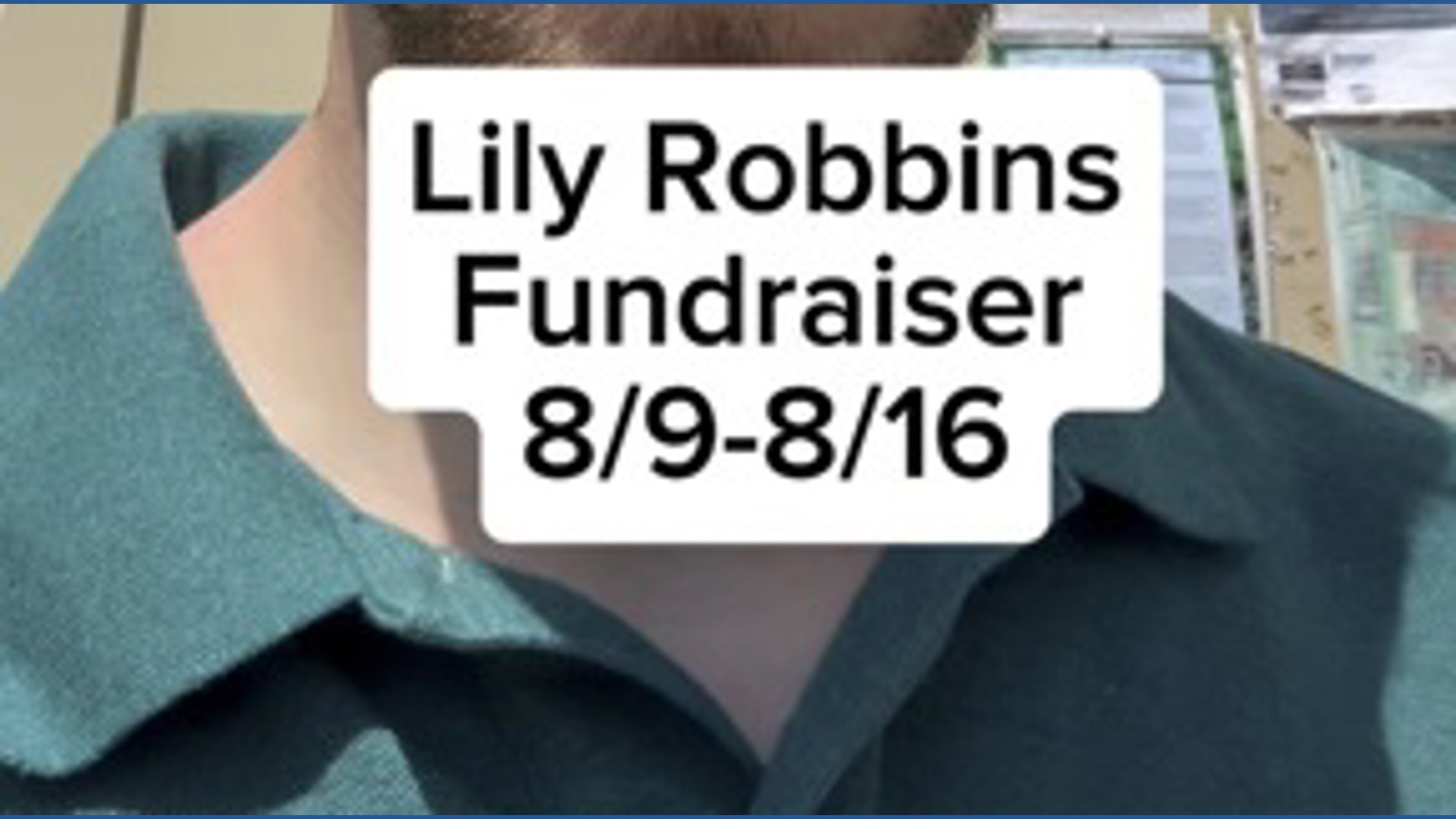 Mosaic Restaurant holding an art fundraiser for Lily Robbins