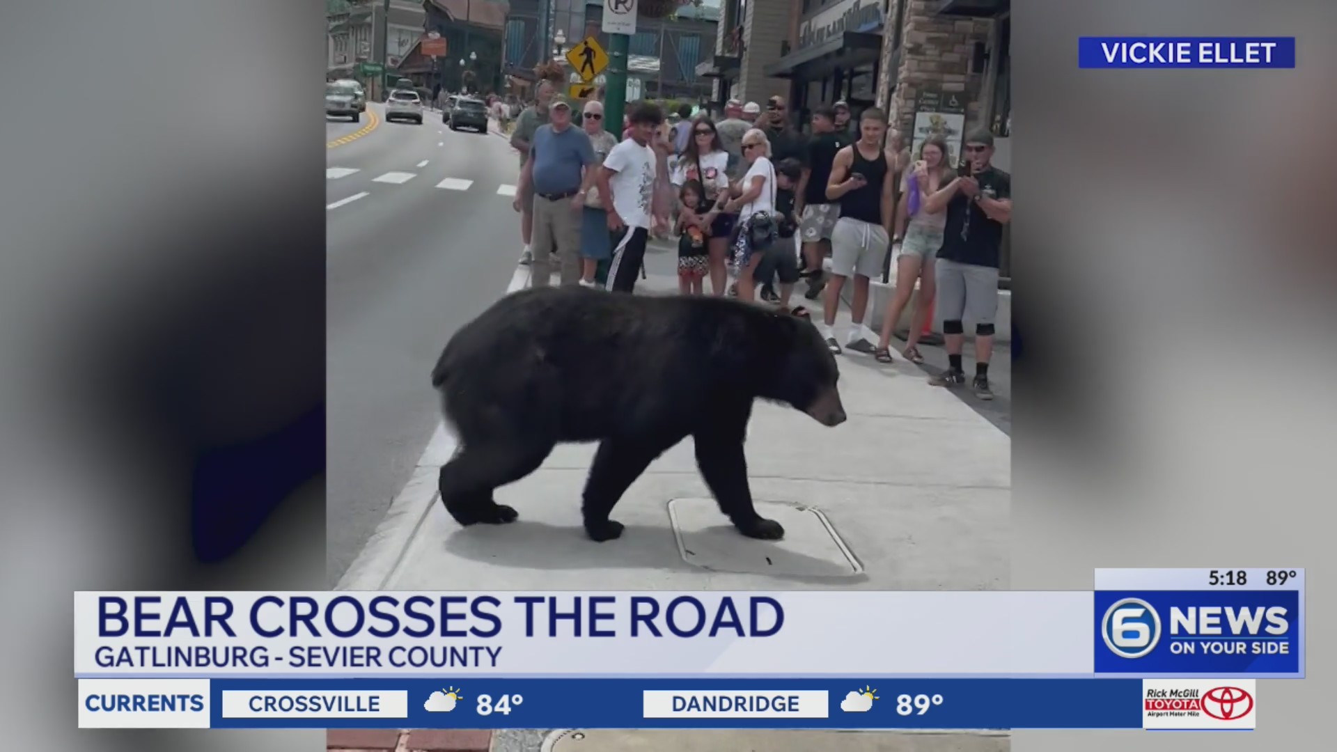 Caught on camera: Bear spotted crossing the street in downtown Gatlinburg