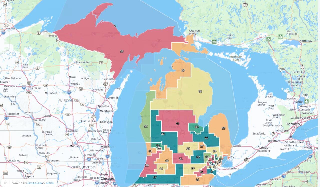 2026 Michigan Senate primary election results