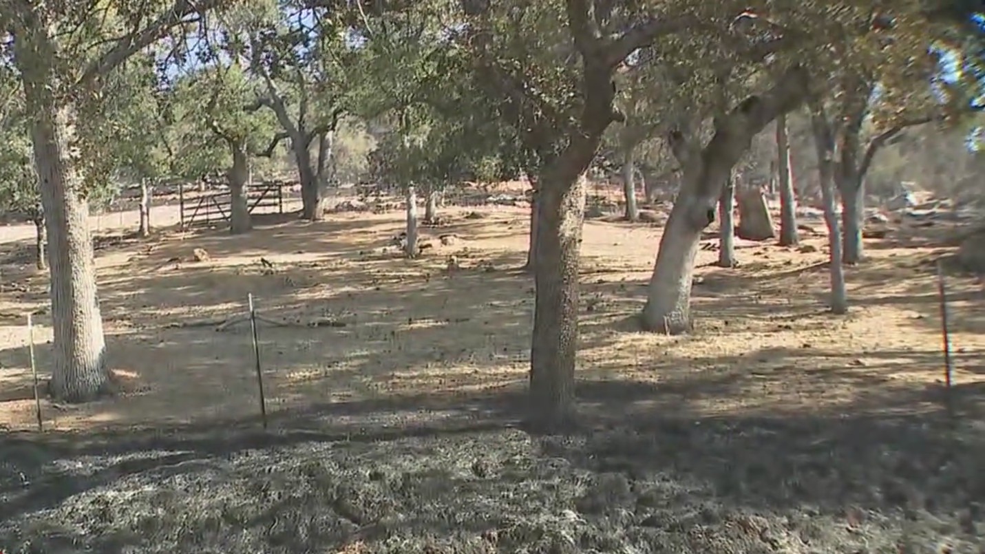 Gann Fire: 10,373 acres burn, 26% contained