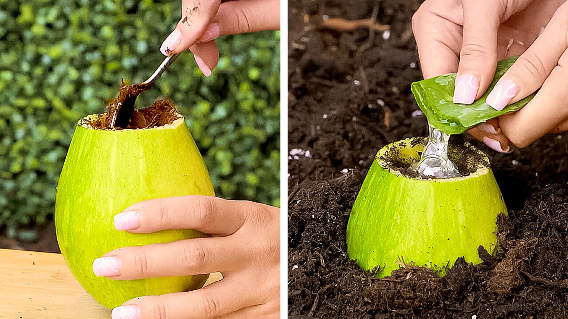Boost your garden's growth with these innovative tips