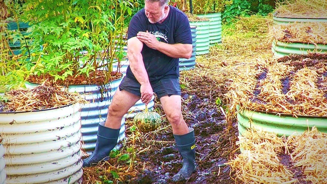 From mud to magic: Transforming my overgrown garden & planting for ...