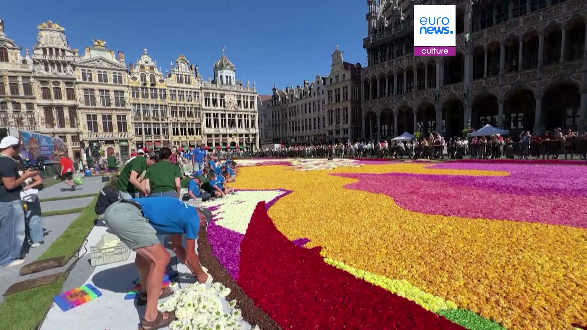 Brussels central square transformed into giant Japan-inspired flower carpet