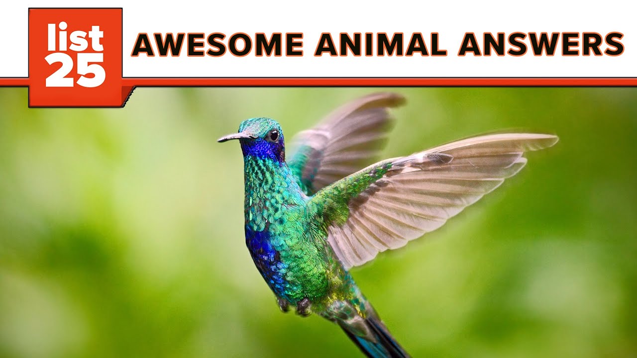25 surprising animal questions to test how much you really know