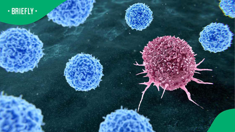 UCT scientists make cancer breakthrough by uncovering how tumours hide ...