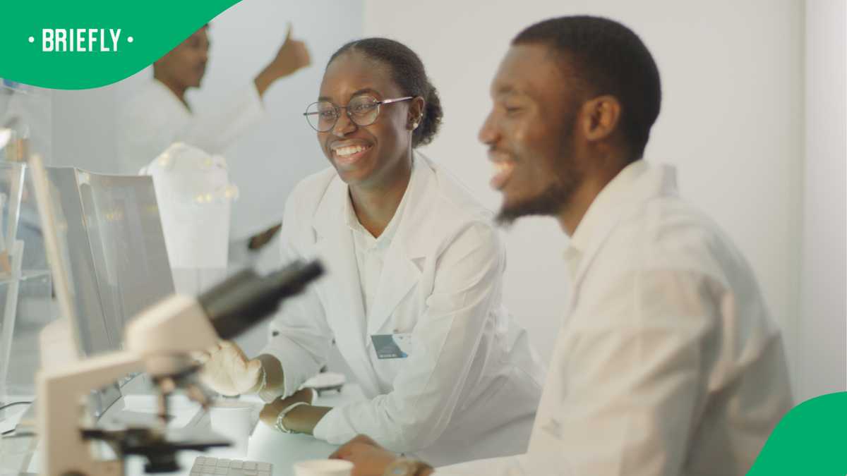 UCT scientists make cancer breakthrough by uncovering how tumours hide ...