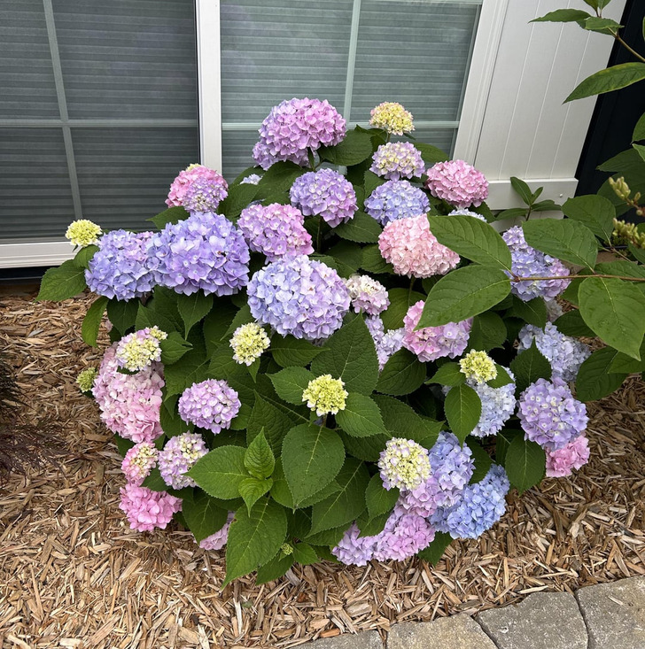 20 gardeners whose plants and stories teach us that growing a garden is ...
