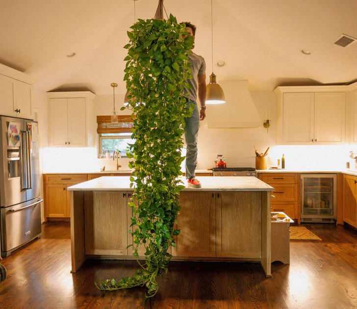 20 gardeners whose plants and stories teach us that growing a garden is ...