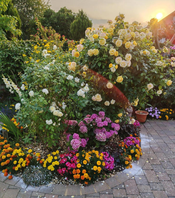 20 gardeners whose plants and stories teach us that growing a garden is ...