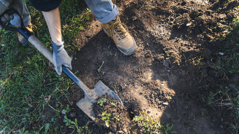 With Home Depot's electric garden tool, you can skip breaking up soil ...