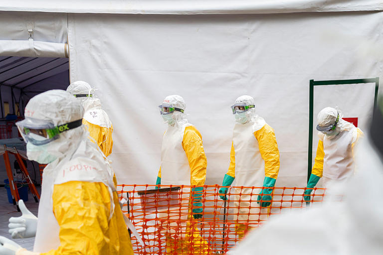 Ebola: One death every 30 minutes in the Democratic Republic of the Congo