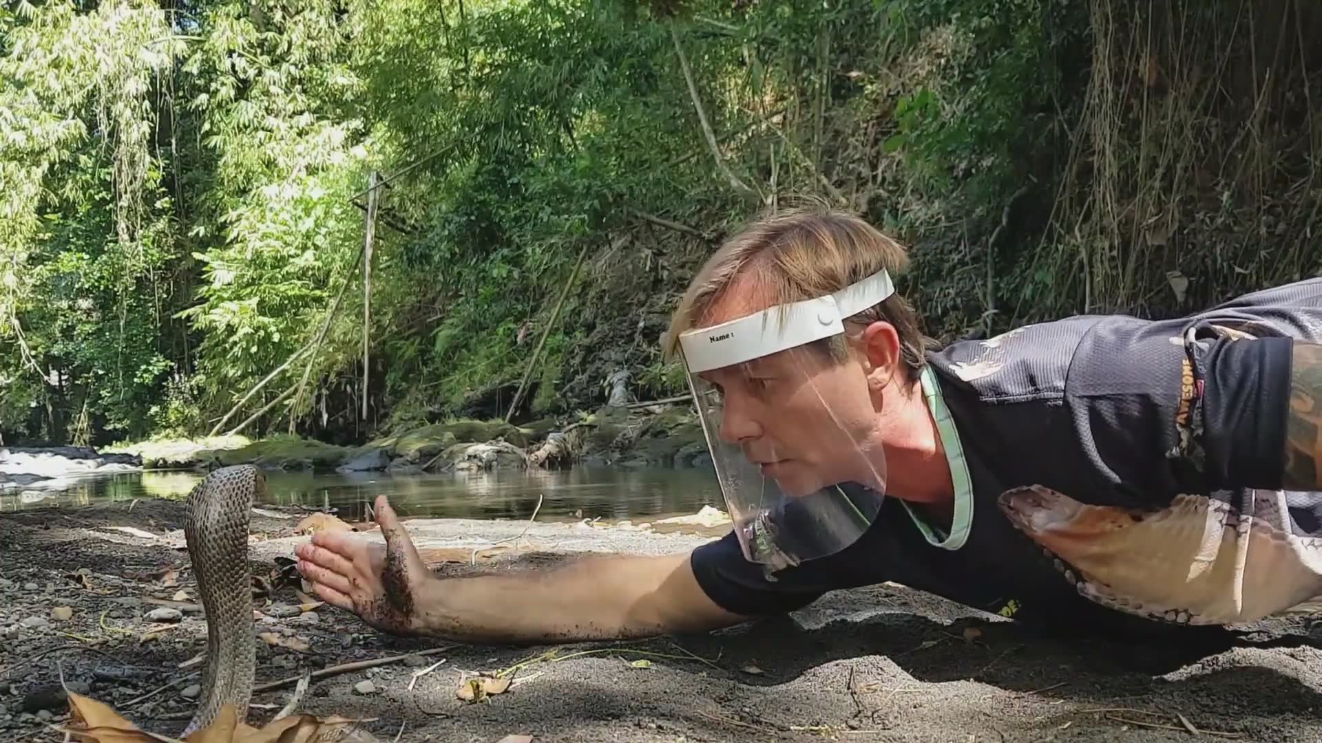 Top 10 deadly snakes | Deadly bite warning footage