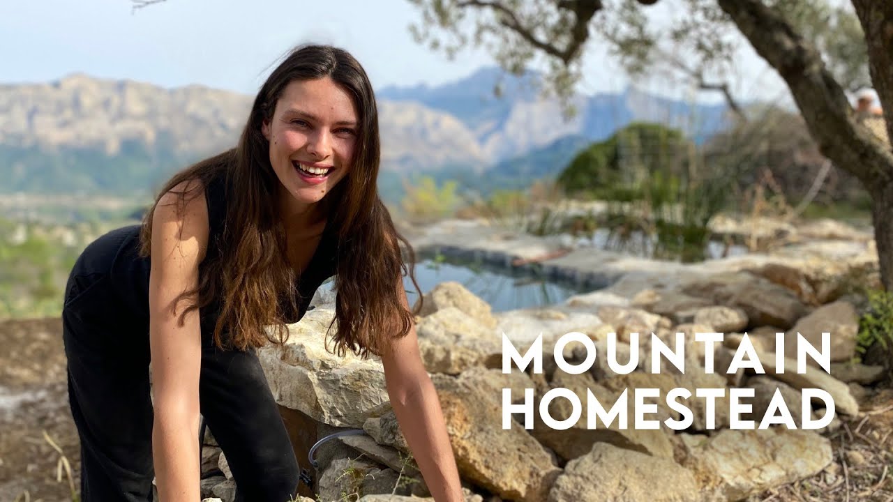 Turning abandoned land into a homestead