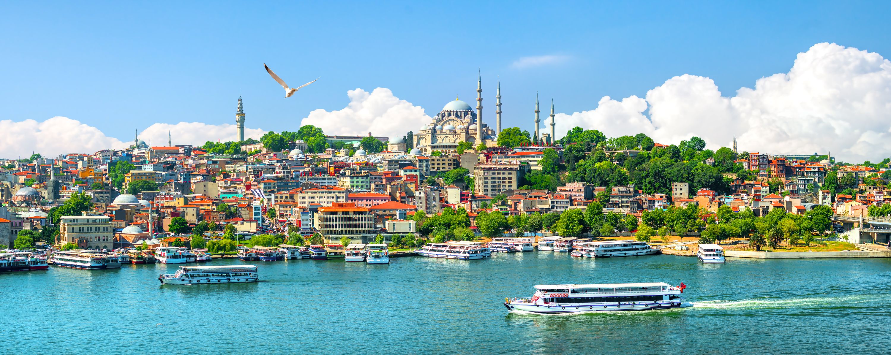 Turkey hair transplant clinics & treatments 2026 – helping Sussex ...
