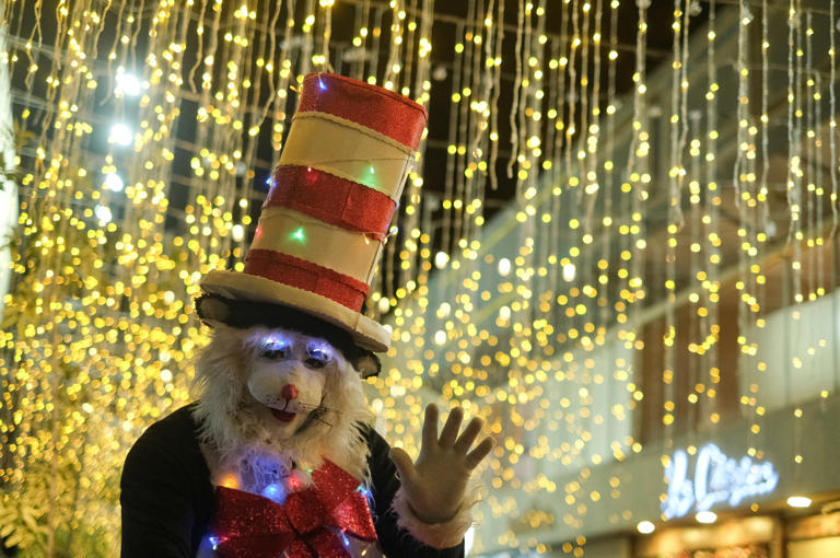 Viral Cat In The Hat Trend Reaches Georgia Schools