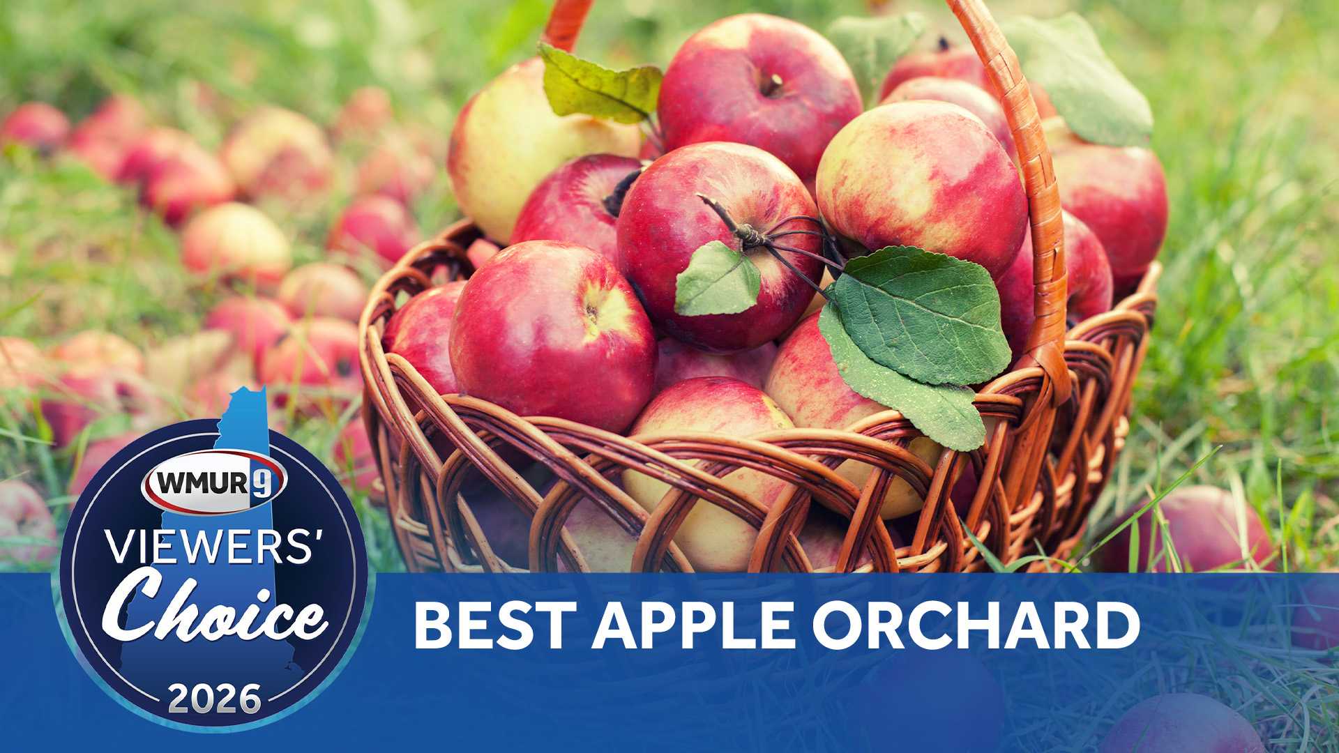 What's the best apple orchard in New Hampshire?