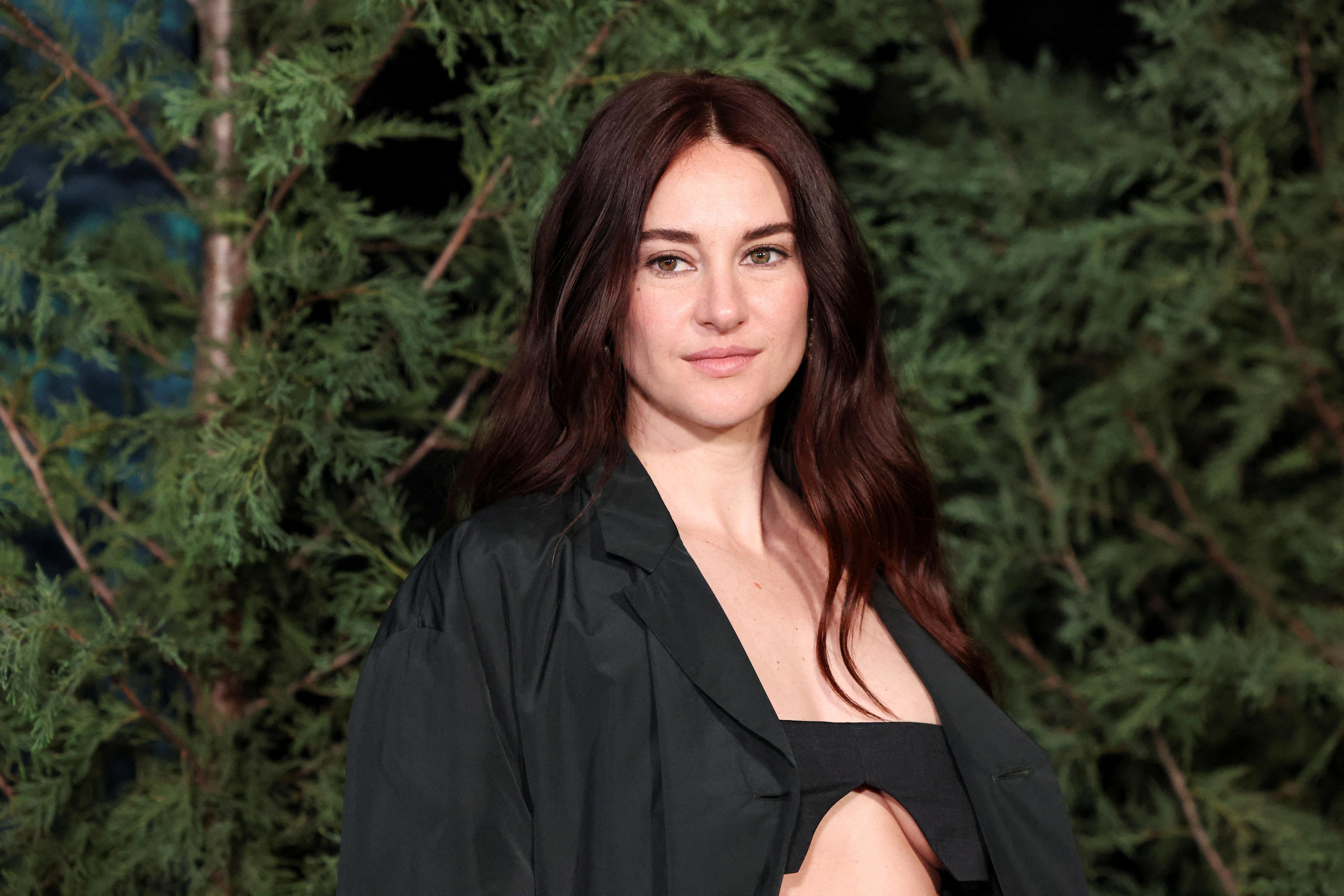 Aaron Rodgers Makes Wild Shailene Woodley Claim After Engagement