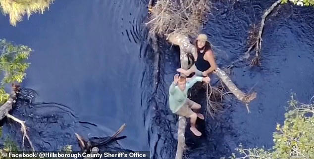 Florida men cling to tree over alligator-infested waters after ...