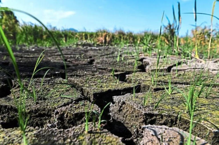 Stronger corporate accountability, sustainability needed as climate ...