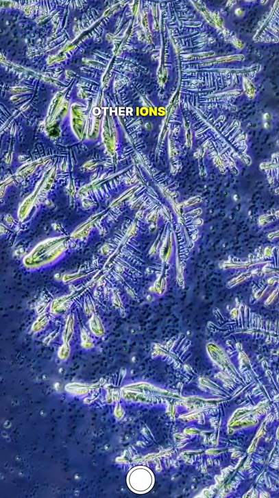 Tears under the microscope reveal hidden details