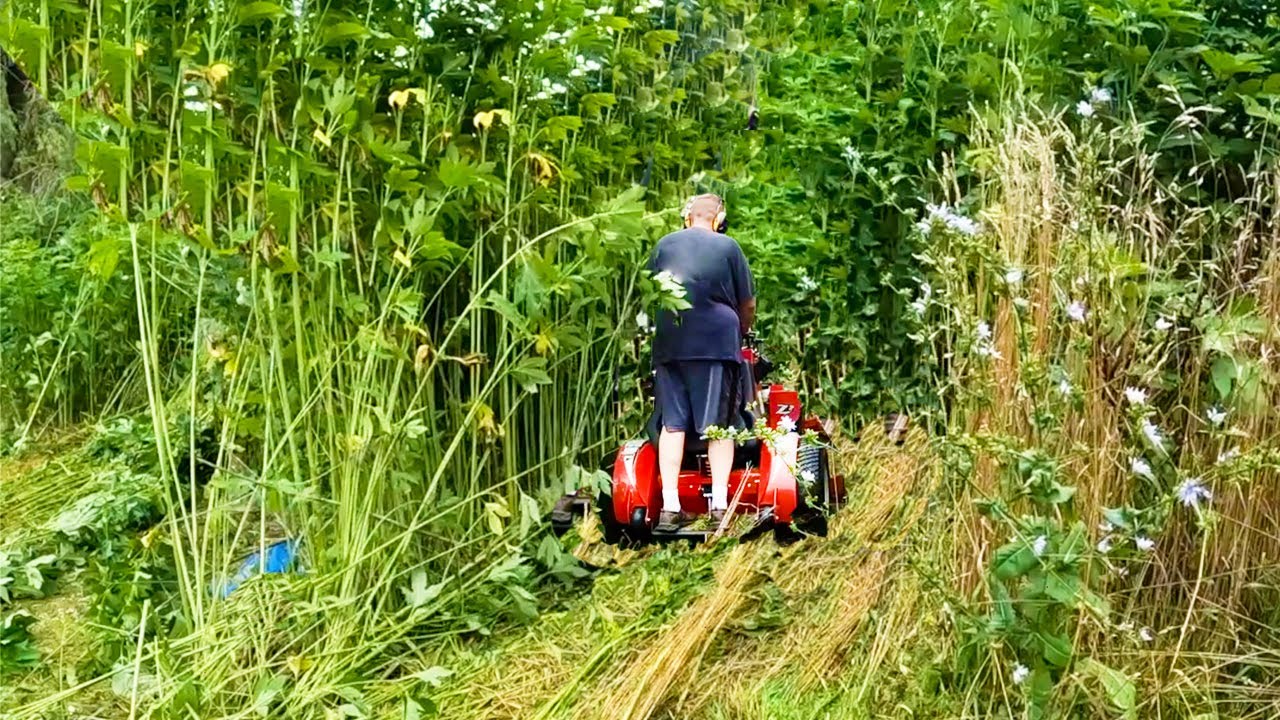 Extreme overgrown yard makeover: Stunning transformation for single mom!