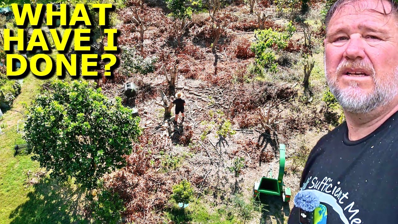 Reviving my overgrown orchard: Extreme pruning for abundant fruit!