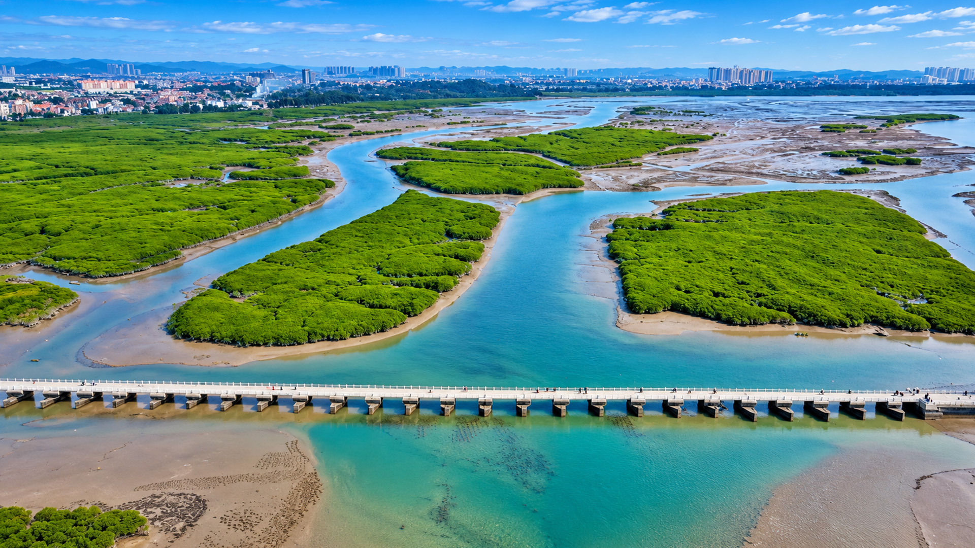 Luoyang Bridge spanning Quanzhou’s coastal wetlands