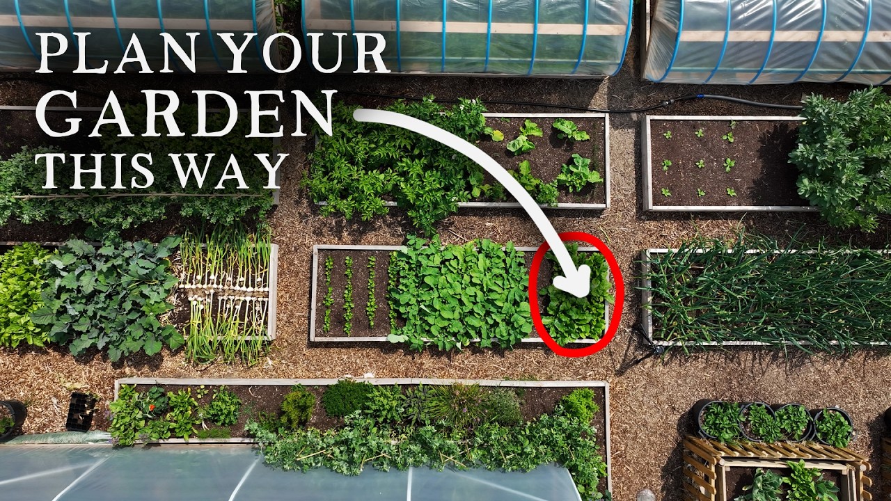 This method will boost your vegetable garden!