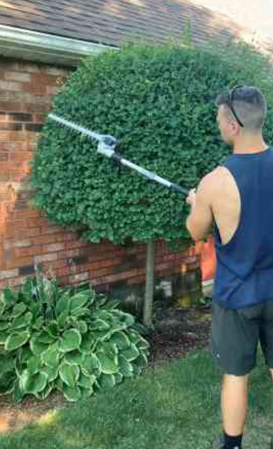 Transforming an overgrown lawn into a clean cut masterpiece