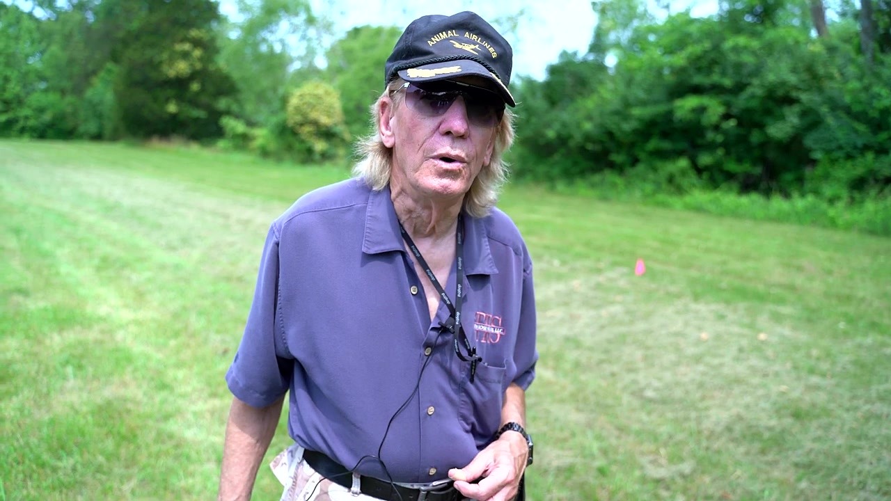 The training method that teaches your dog to run a perfect straight track
