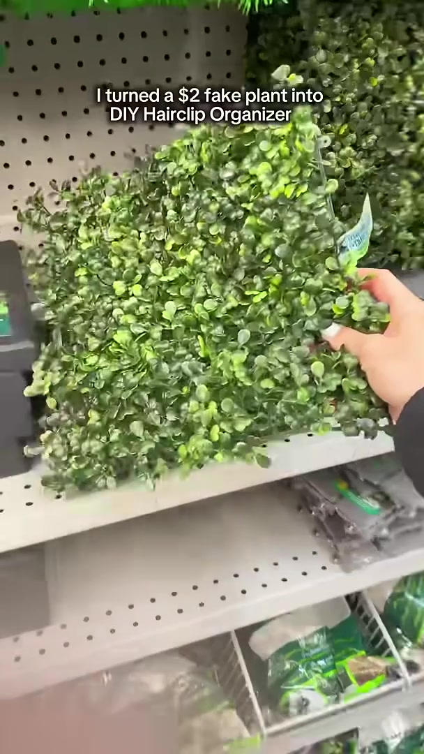 DIY hair clip organizer 🌿 Dollar Tree plant wall | Claw clip storage ...