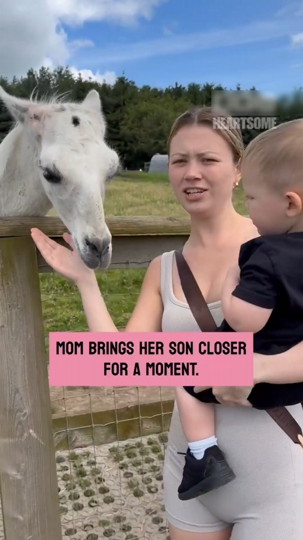 A farm birthday visit takes a funny turn when a friendly llama decides ...