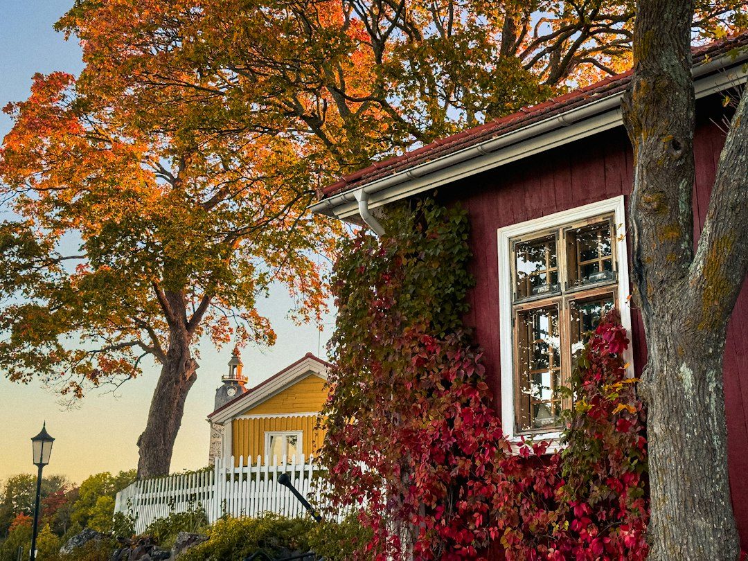 The fall project that pays off all winter long